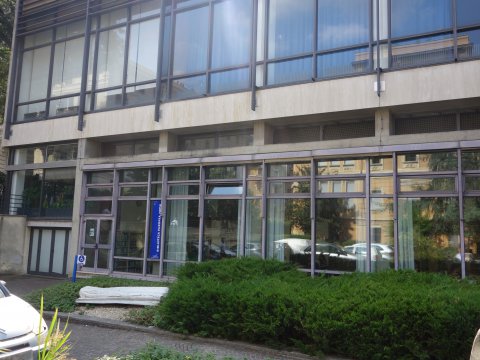 Goethe-Institut • Bergmeister